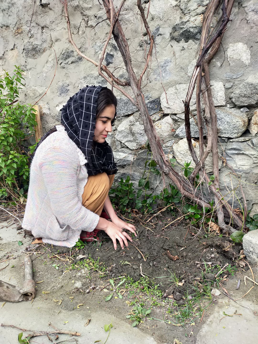 YFOL: Sadia Bano, Pakistan – Asian Farmers Association for Sustainable ...