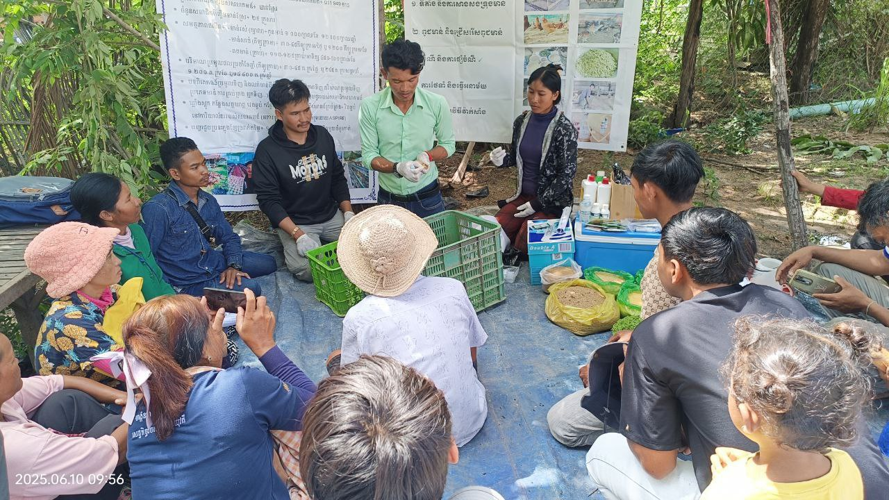CAMBODIA – How a Young Cambodian Farmer Built a Thriving Chicken ...