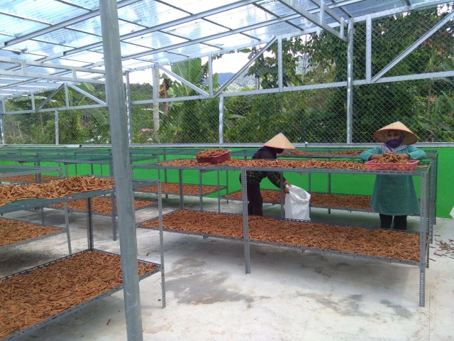 INDONESIA – TAKTIK champions sustainable cinnamon farming – Asian ...